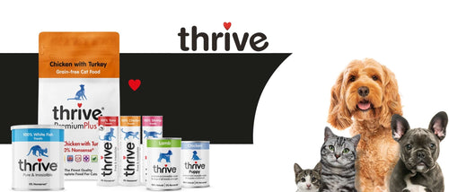 Pet Supplies Store - Pet Food, Products, Supplies at Low Prices